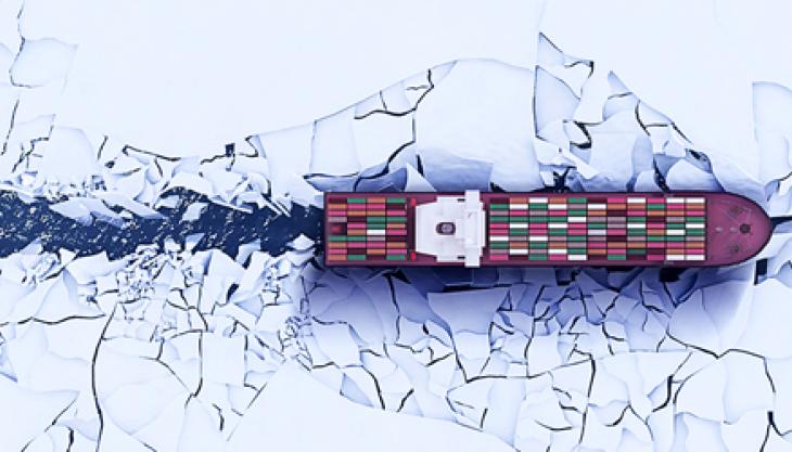 ICE Developer Portal